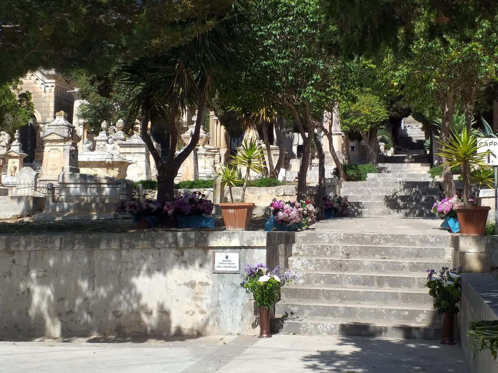 Regala i fiori al cimitero di Scicli: il gesto del signor Bartolomeo ...