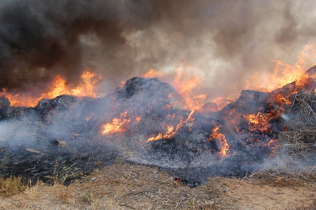 Fumarole ad Acate: presentata interrogazione al Ministero dell'Ambiente ...