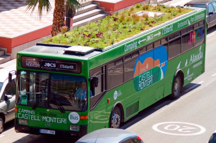Decreto Clima Mite: bus scolastici sostenibili, approvato progetto ...
