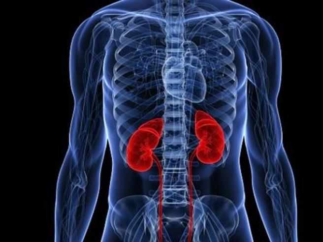 Giornata Mondiale del rene: le iniziative all'Asp di Ragusa - Ragusa Oggi