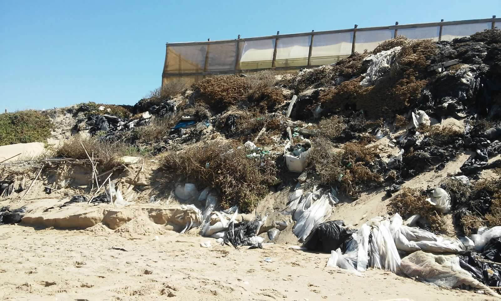 Si ripulisce una parte della spiaggia di Marina di Acate - Ragusa Oggi