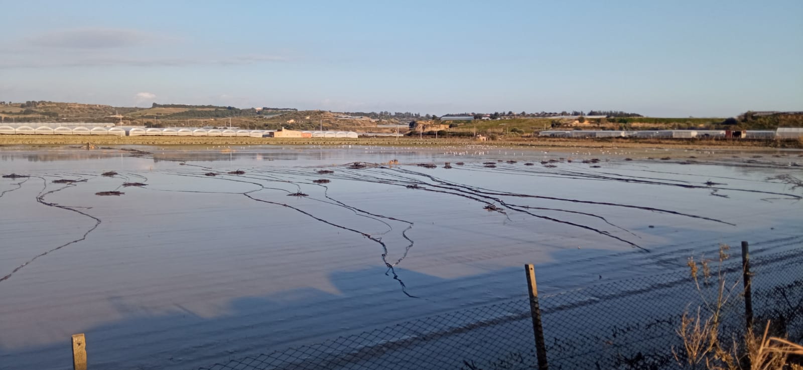 Fiume Dirillo, il grande malato. Si interverrà davvero e come? - Ragusa ...