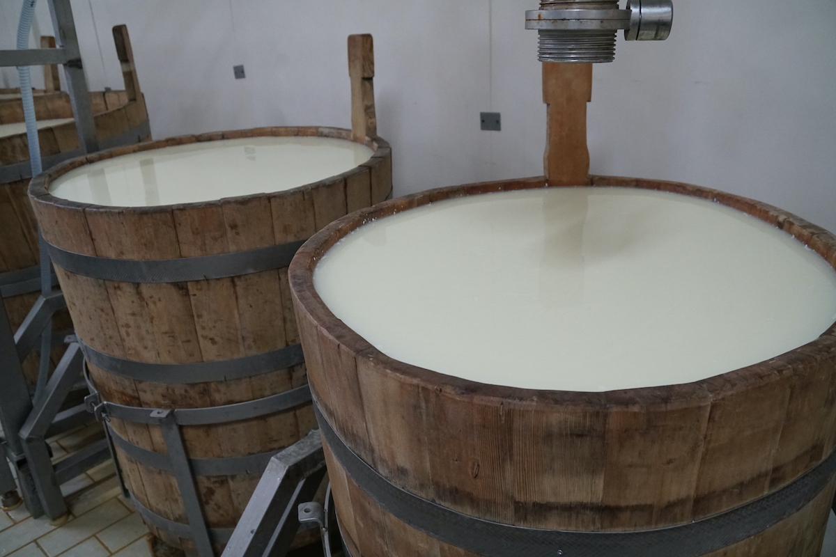 Raggiunti milioni di consumatori con "Progetto di Fattoria" per ...